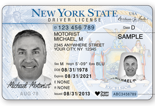 Driver License: Como tirar a sua em Nova York em 5 passos